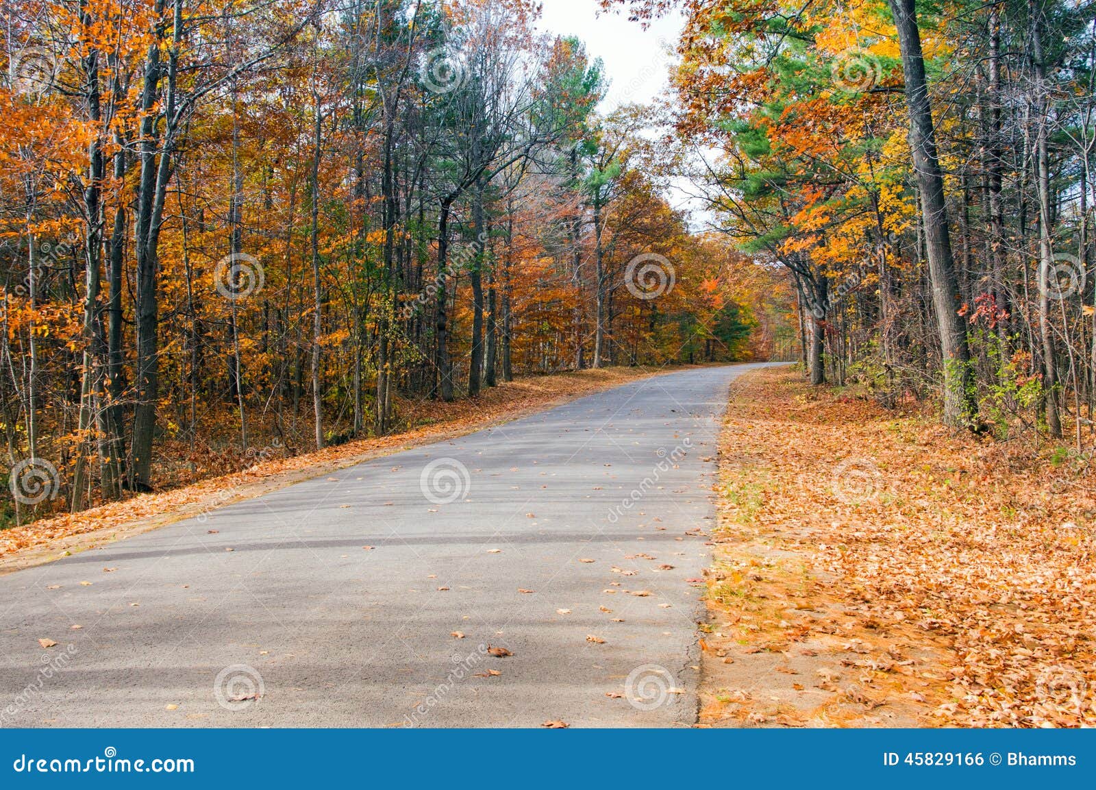 Fall Country Road stock photo. Image of autumn, outdoors - 45829166
