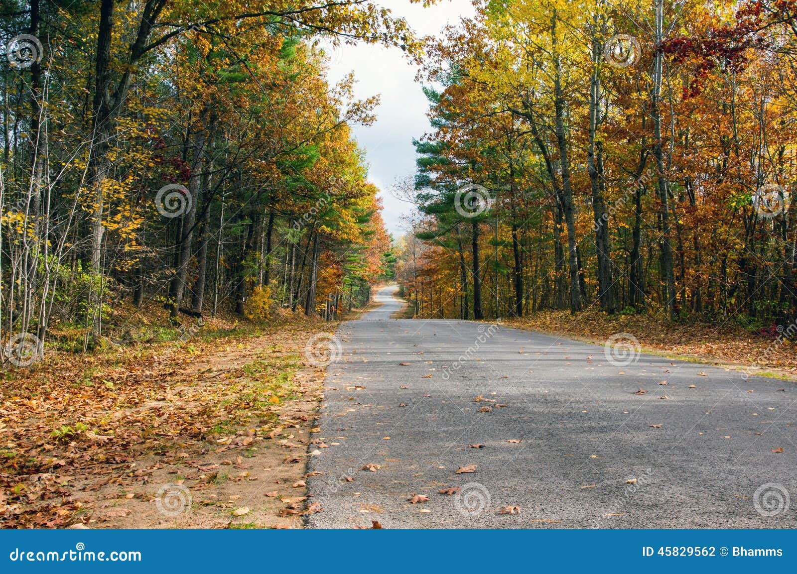 Fall on a country road stock photo. Image of leaves, fall - 45829562