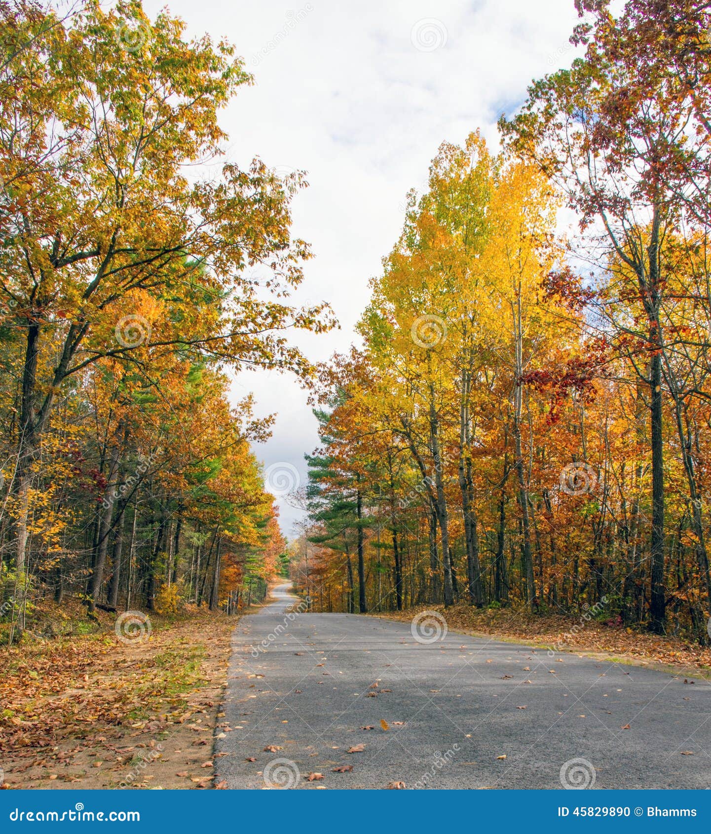 Fall Country Road stock photo. Image of foliage, fall - 45829890