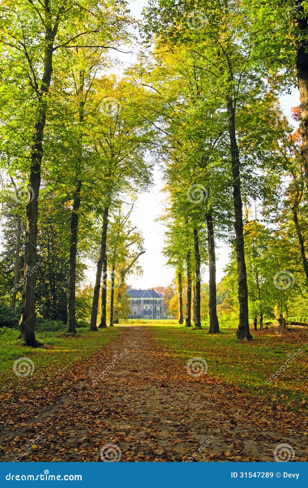 Fall in the countryside stock image. Image of trees, holland - 31547289