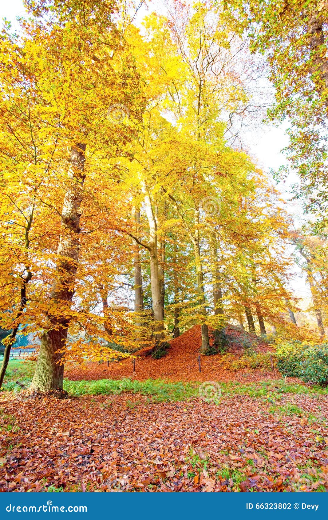 Fall in the Countryside from Netherlands Stock Photo - Image of season ...
