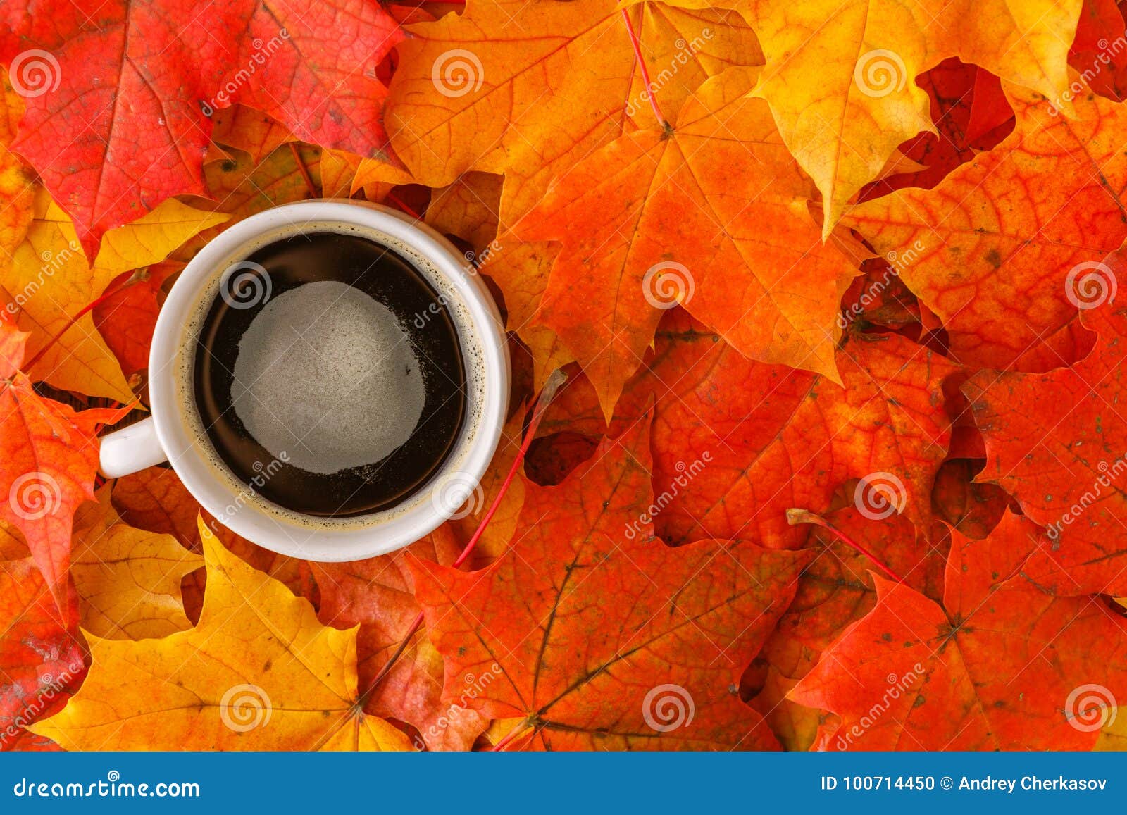 Fall Creative Art Concept, Maple Leaves on Table Stock Photo - Image of ...