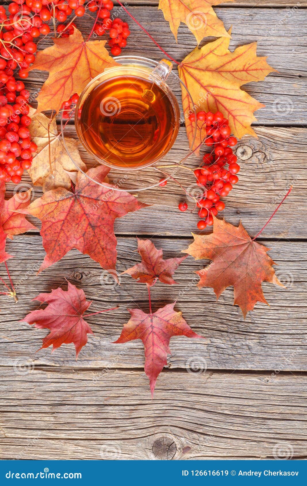 Fall Creative Art Concept, Maple Leaves on Table Stock Image - Image of ...