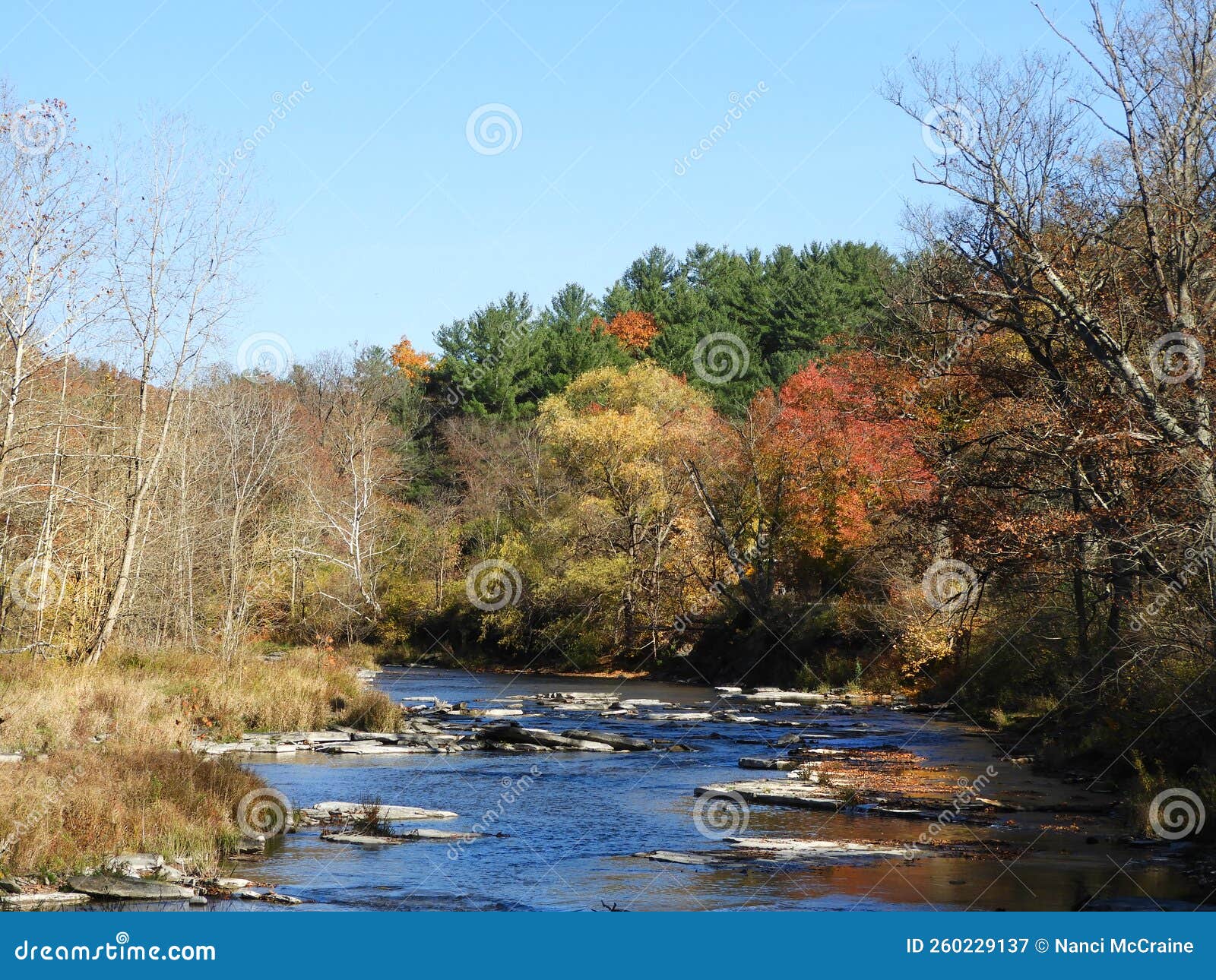 Fall Creek in Autumn Flows through Forest Home Drive Cornell University ...