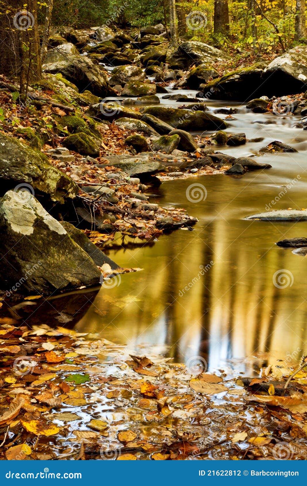 Fall Creek with Rocks and Trees Stock Photo - Image of geological ...