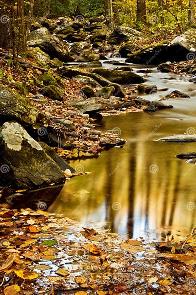 Fall Creek with Rocks and Trees Stock Photo - Image of geological ...