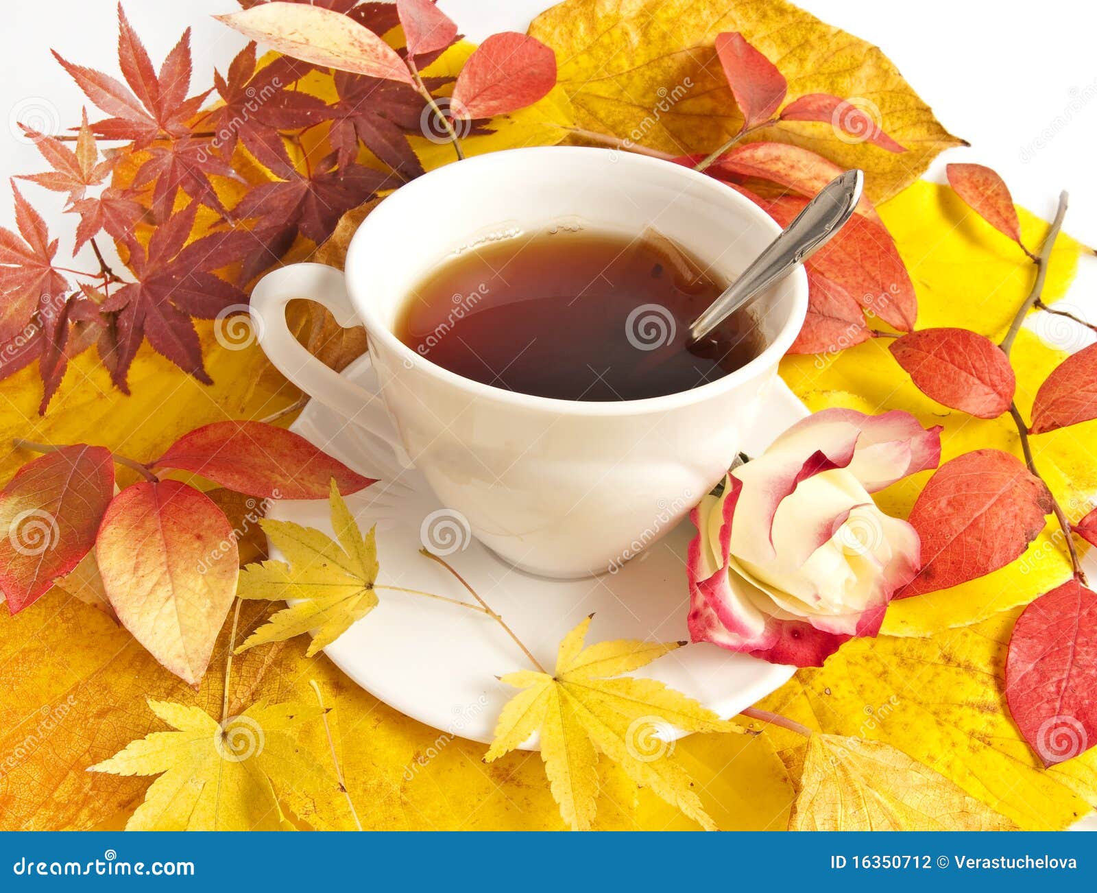 Fall cup of tea stock photo. Image of beautiful, autumn - 16350712