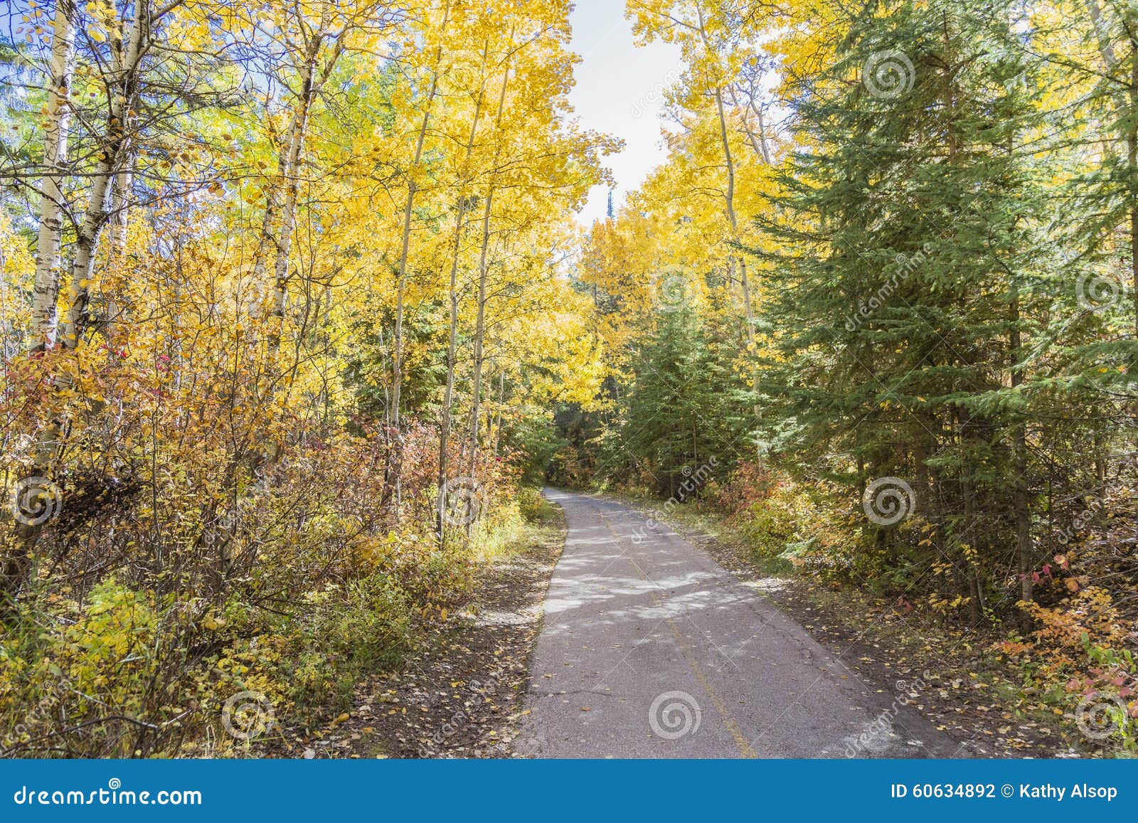Fall Day stock photo. Image of scenic, lane, nature, enviroment - 60634892