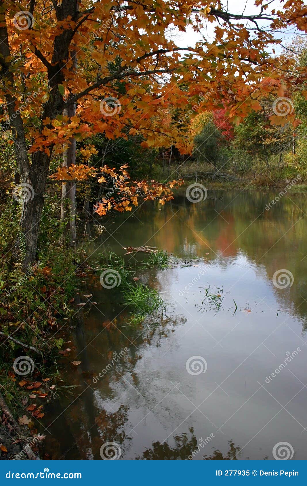 A Fall Day by the Pond stock image. Image of park, boulder - 277935