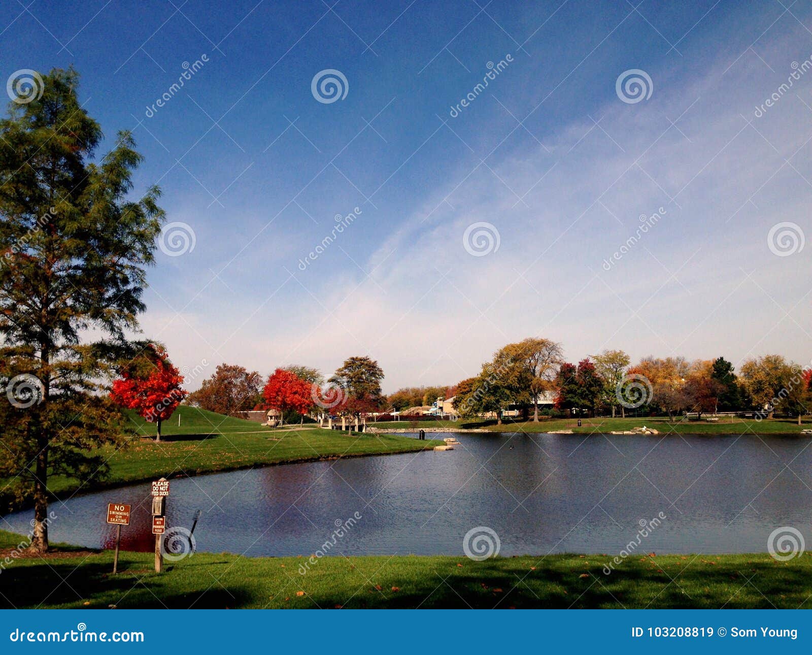 Fall stock image. Image of fall, dayton, tree, cozy - 103208819