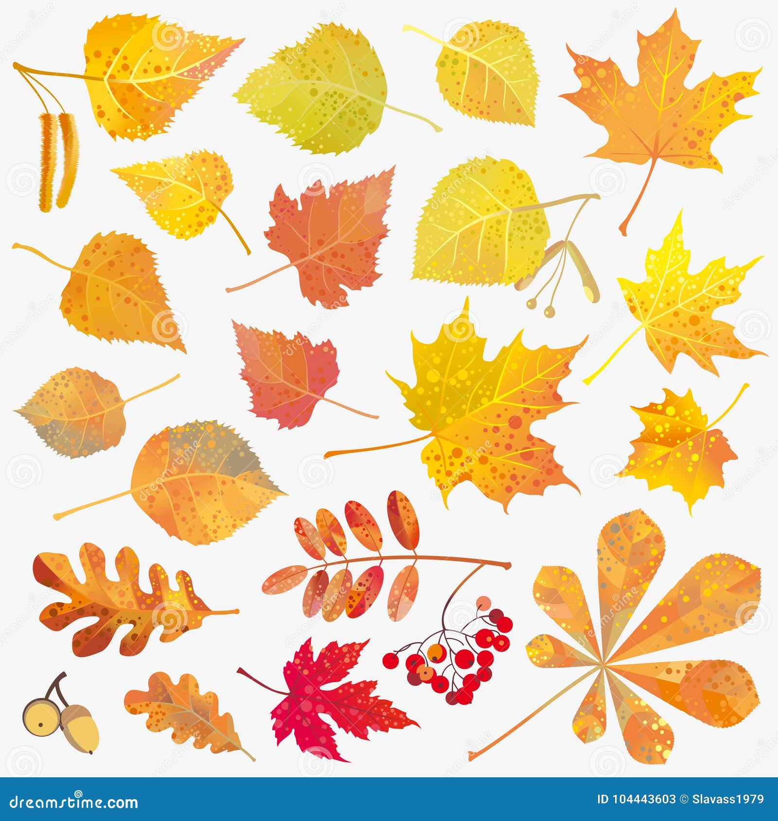 Fall Leaves Collection stock vector. Illustration of leaf - 104443603