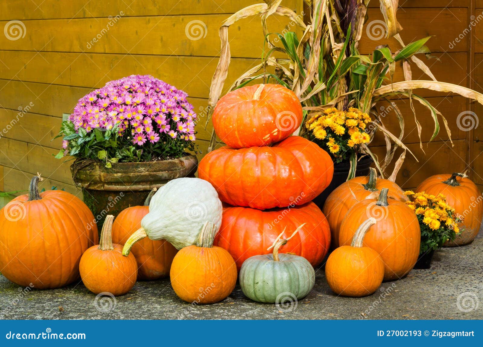 Fall Decorations of Pumpkins and Flowers Stock Image - Image of ...