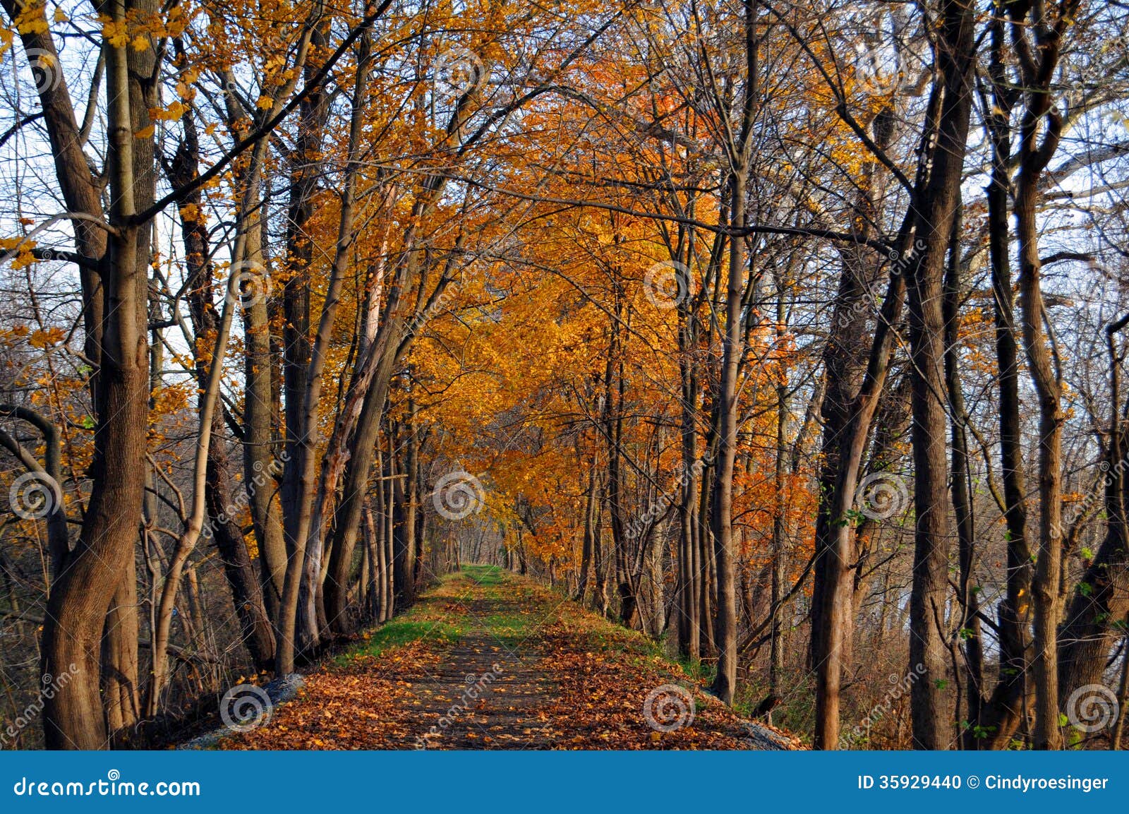 Fall on the Delaware stock photo. Image of leaves, season - 35929440