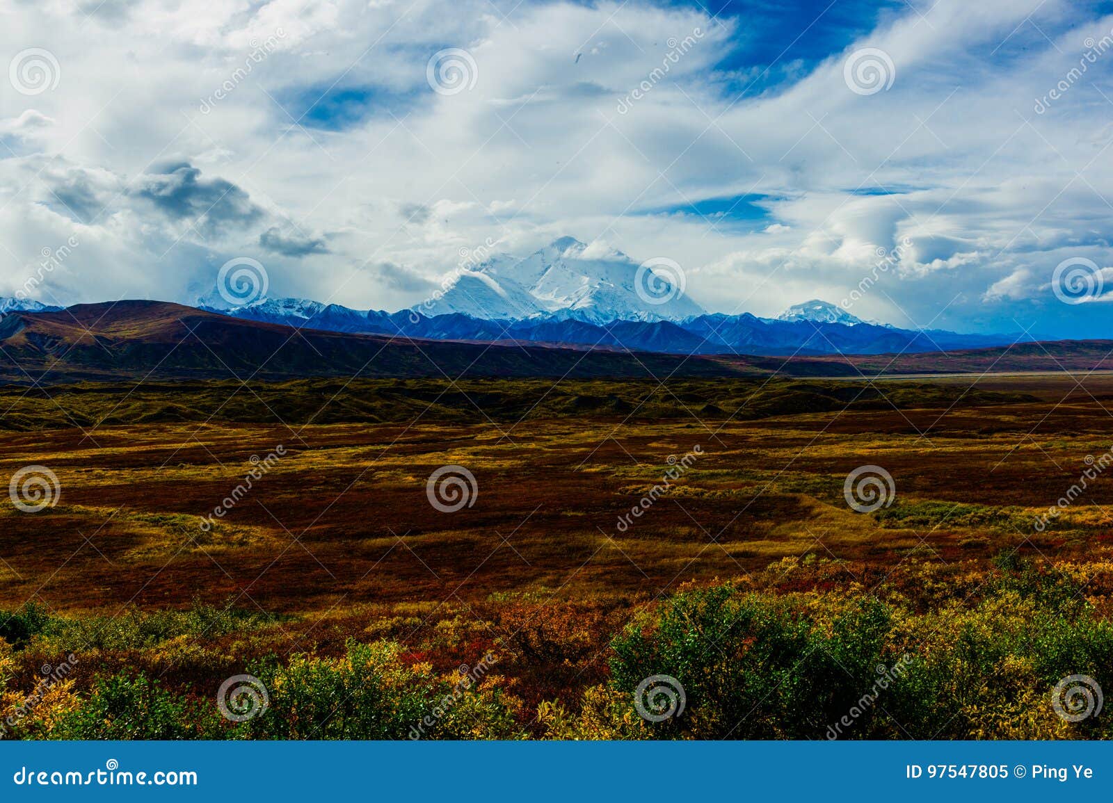 Fall of Denali National Park Stock Image - Image of ecosystem, prairie ...