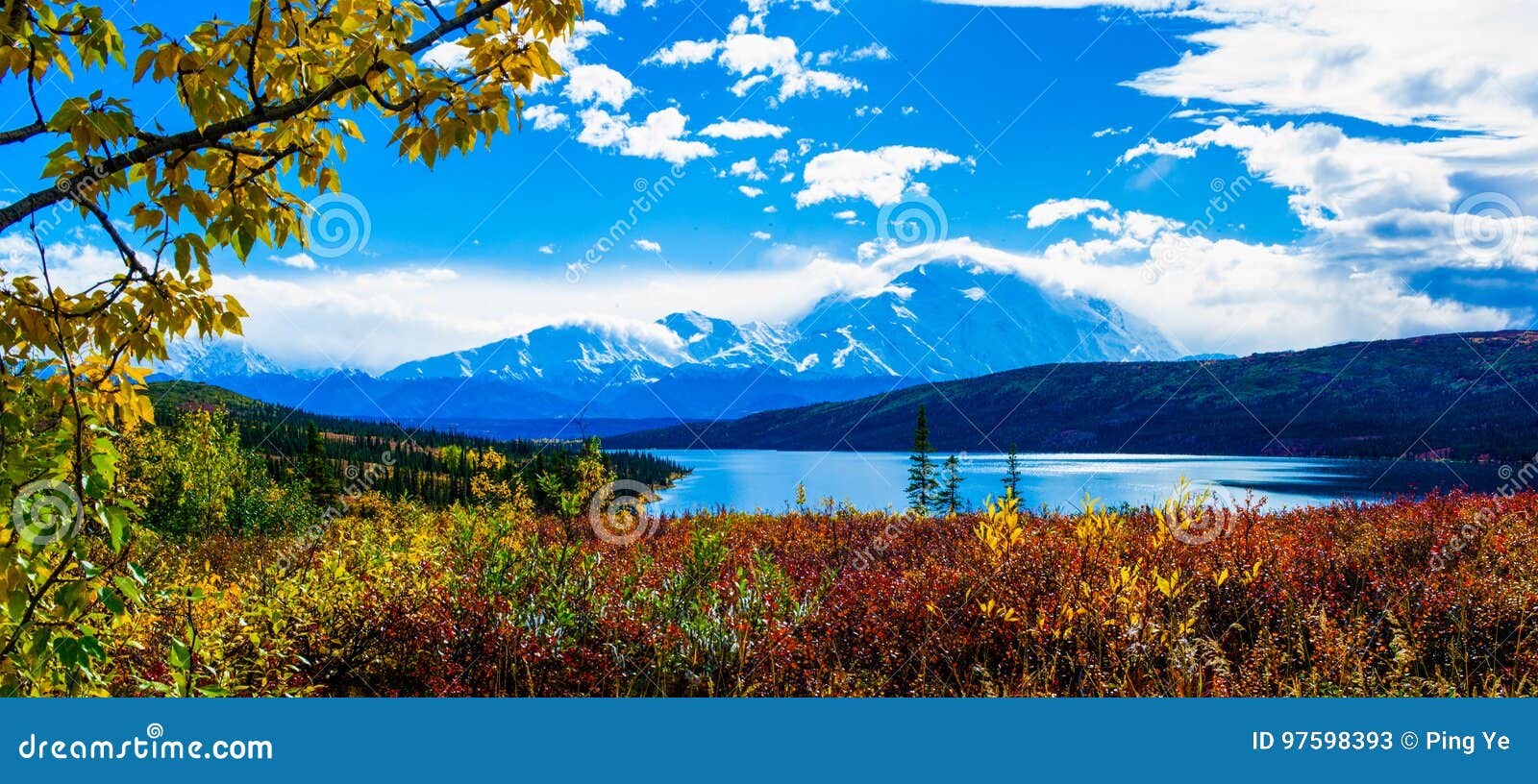 Fall of Denali National Park Stock Image - Image of denali, colorful ...