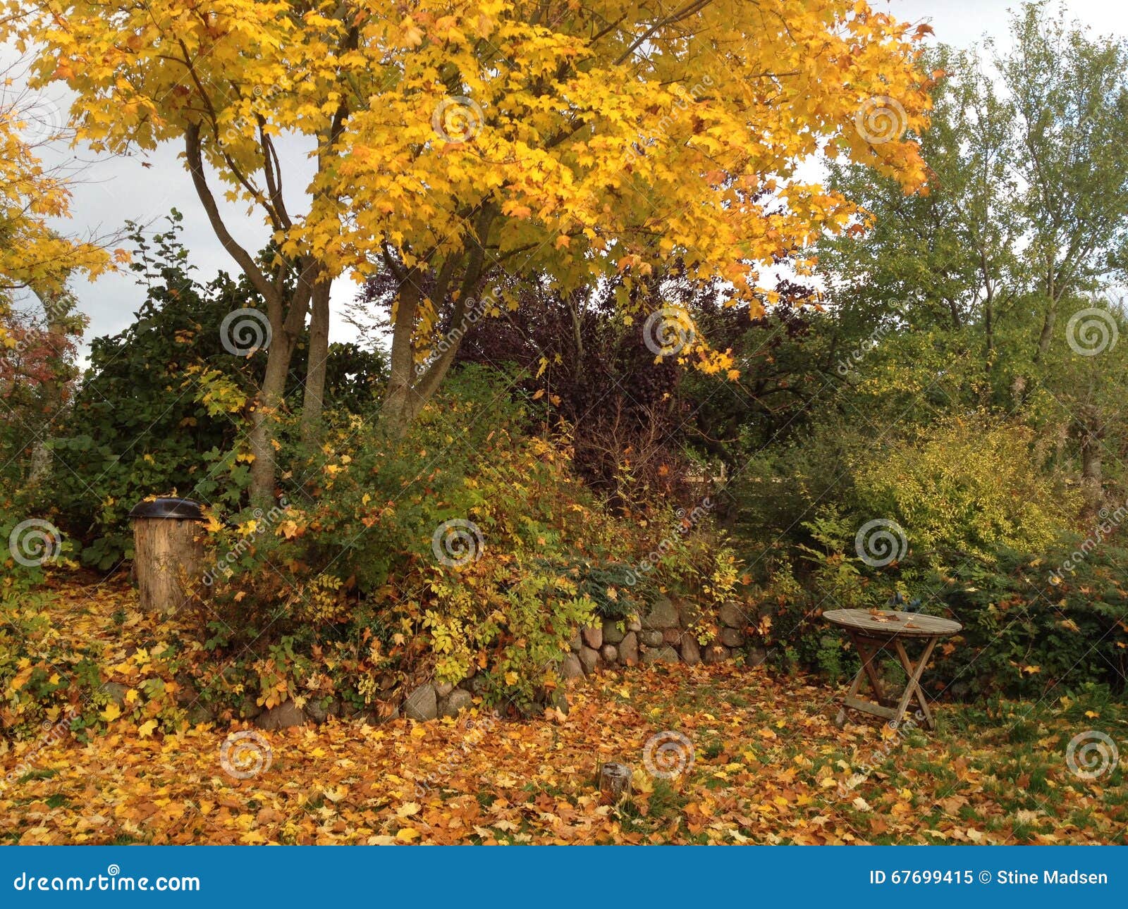 Fall in Denmark stock image. Image of relax, fall, colours - 67699415