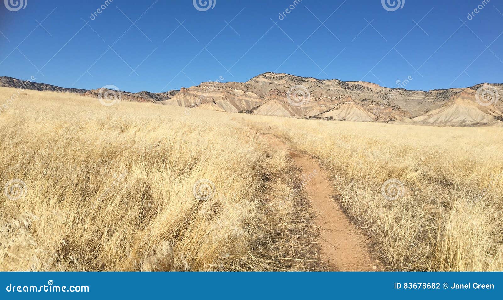 Fall desert landscape stock photo. Image of desert, grasses - 83678682