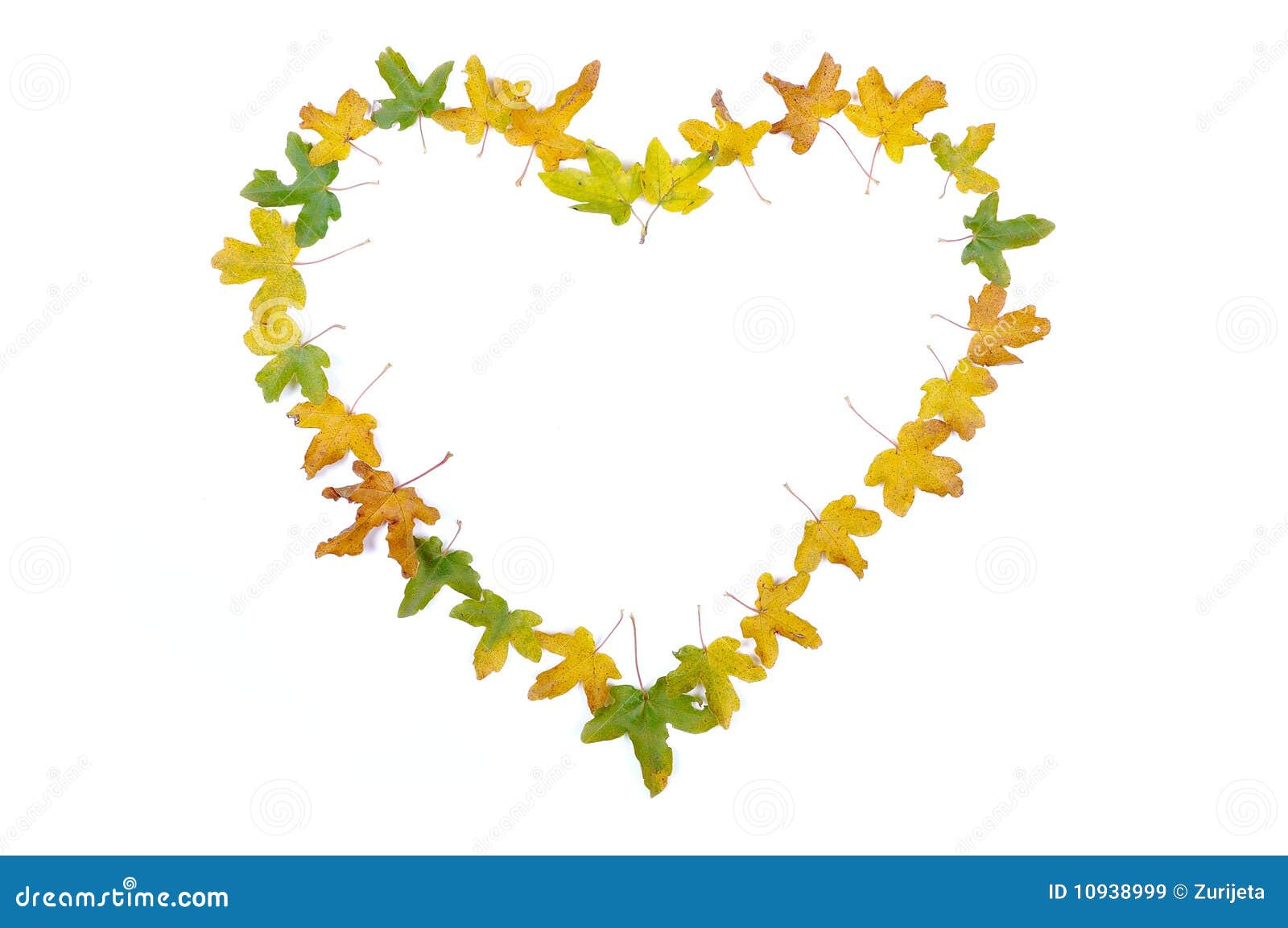 Fall Details, Leaves Isolated in Shape of Heart an Stock Image - Image ...