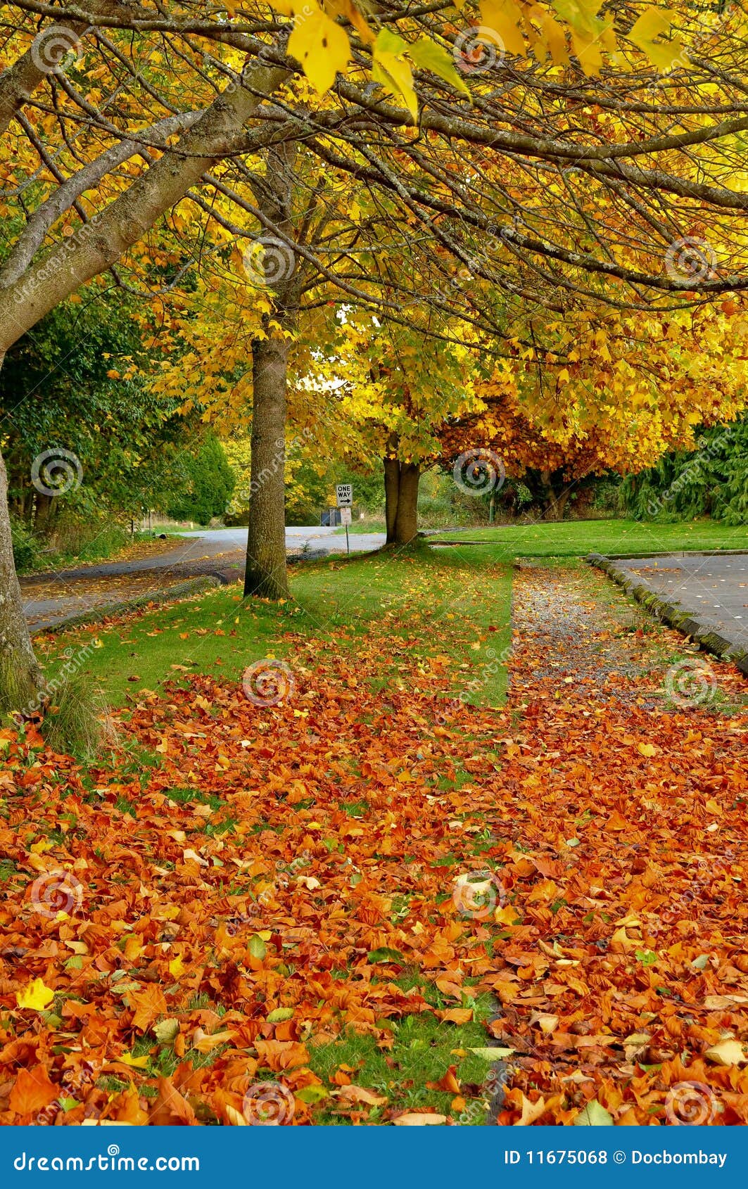 Fall at Discovery Park stock photo. Image of autumn, landscape - 11675068
