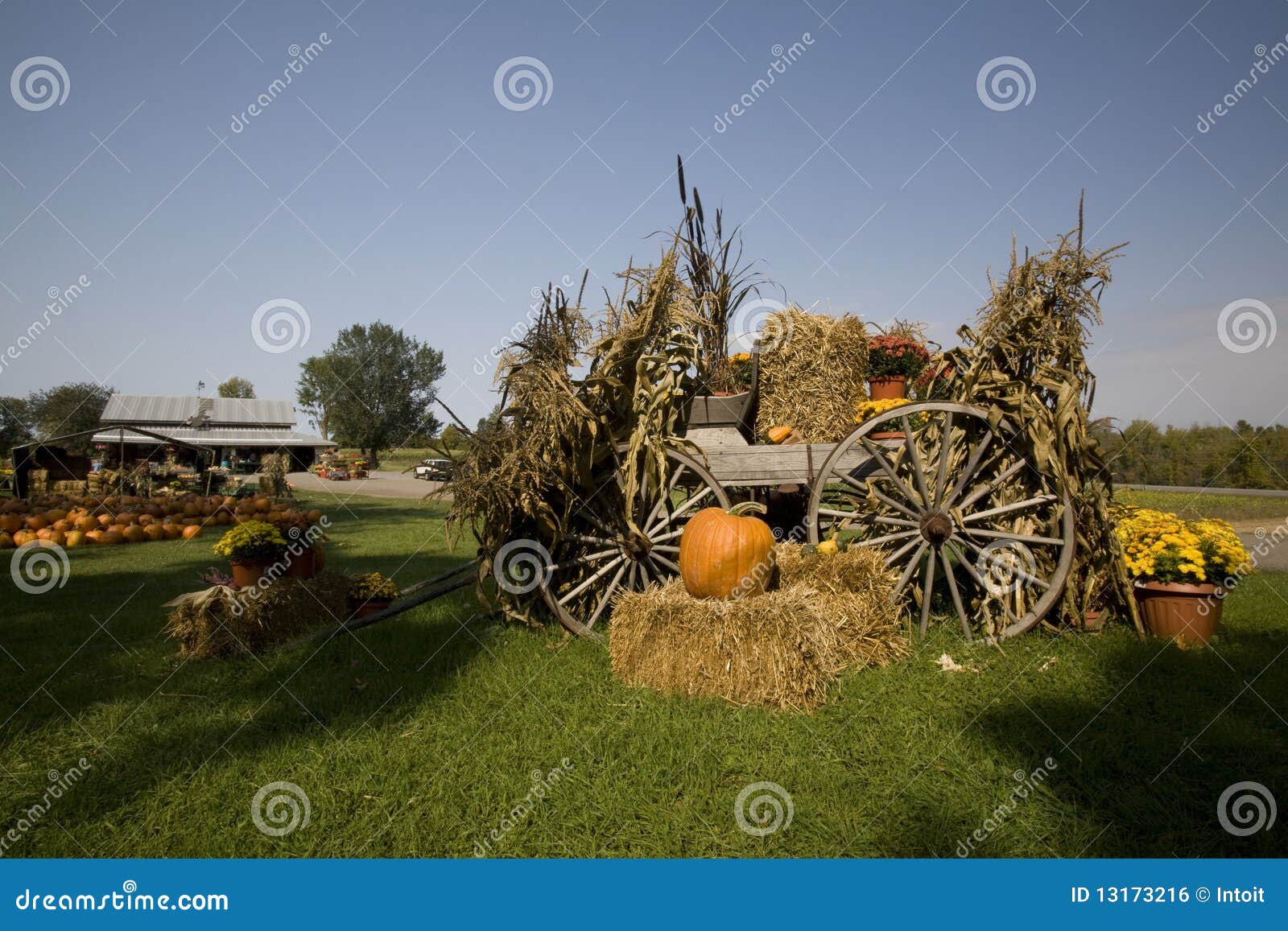 Fall Display stock photo. Image of season, harvest, fall - 13173216