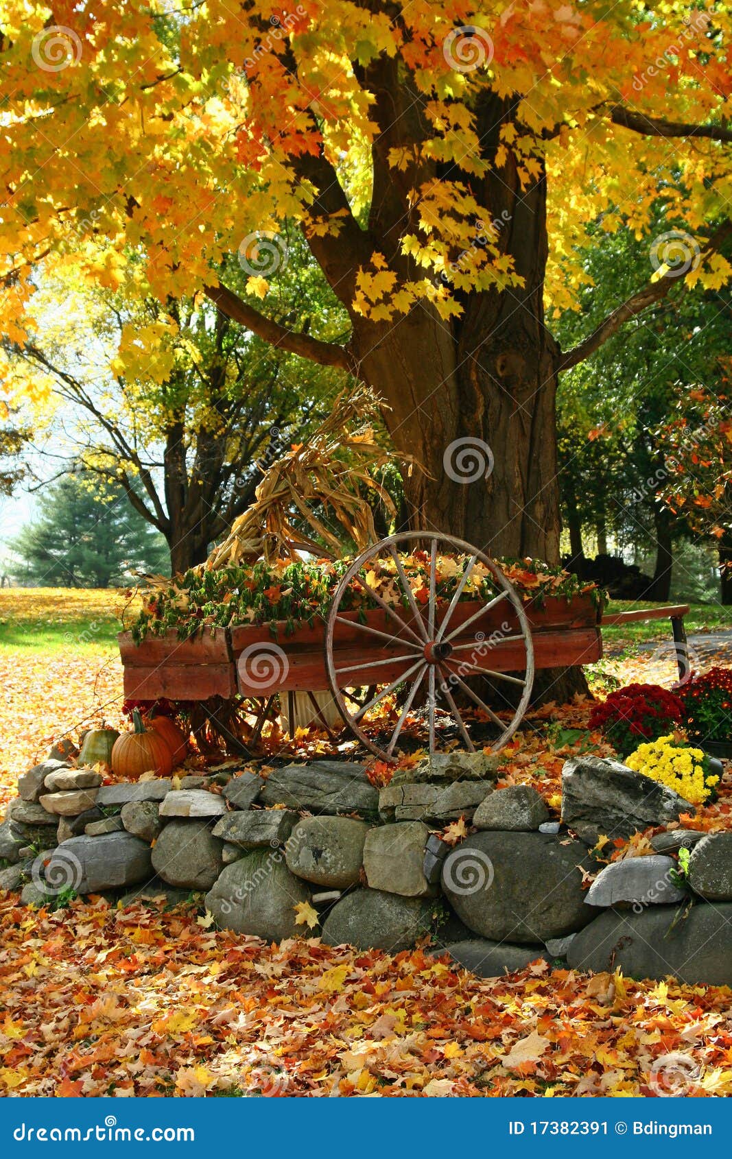 Fall Display stock image. Image of country, chrysanthemums - 17382391