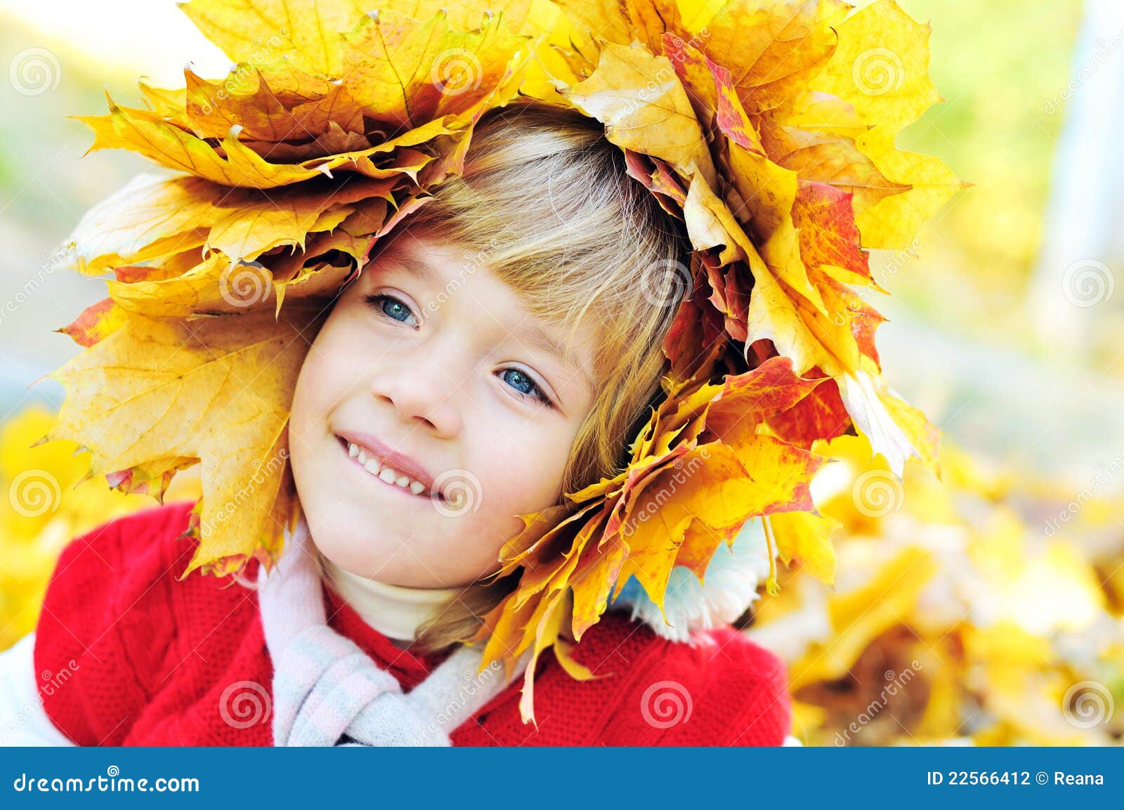 Fall dreams stock photo. Image of golden, head, foliage - 22566412