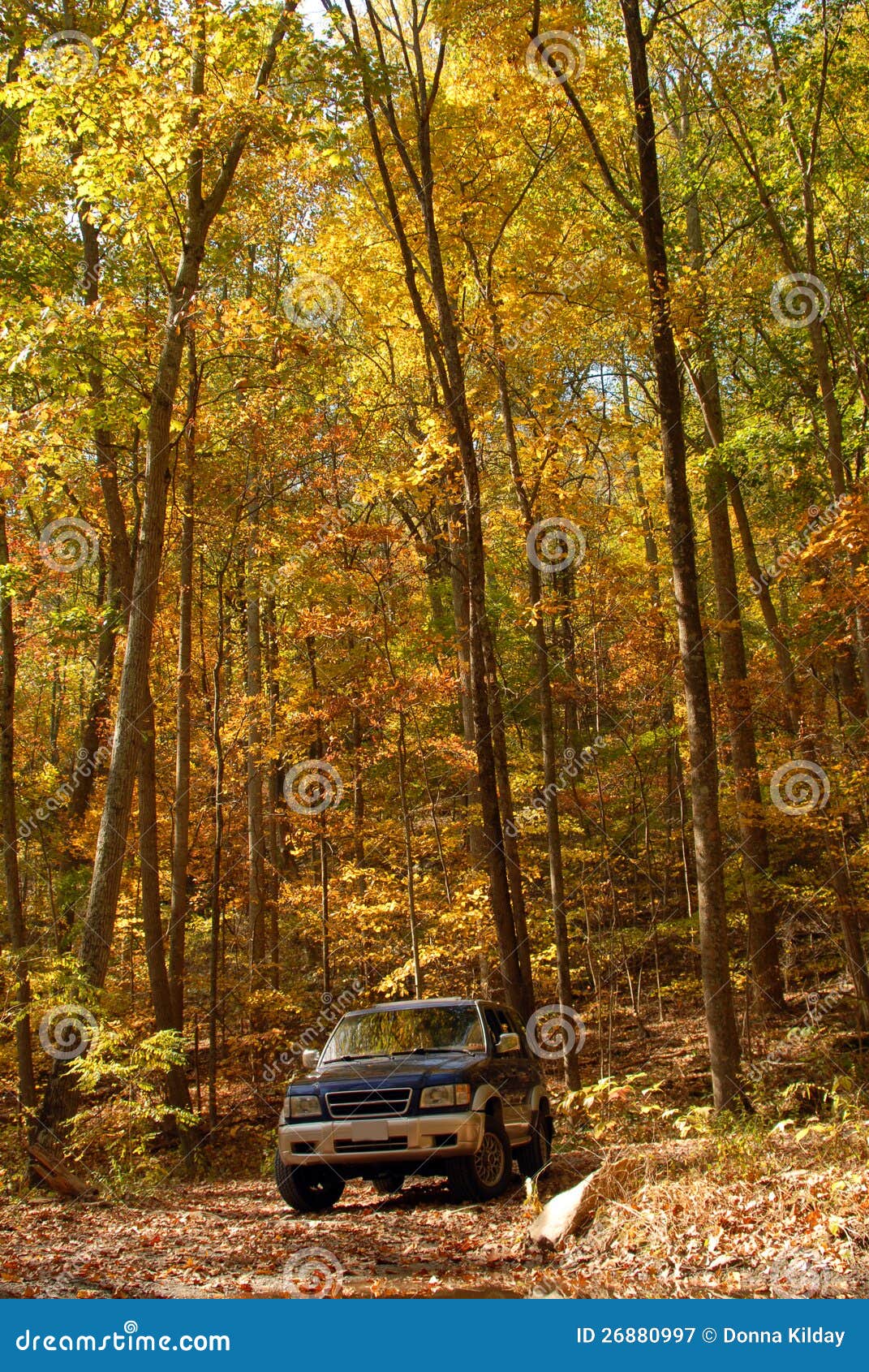 Fall Drive stock image. Image of touring, road, nature - 26880997