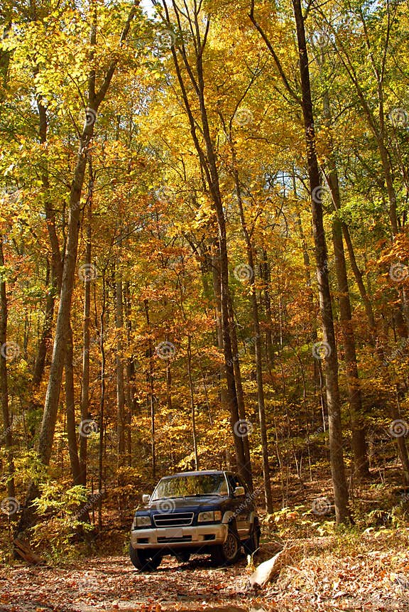 Fall Drive stock image. Image of touring, road, nature - 26880997