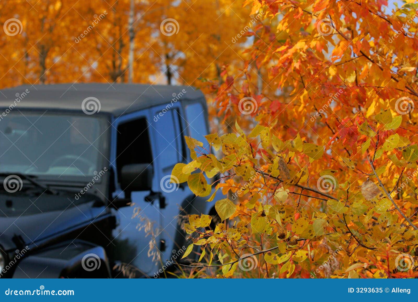 Fall Drive stock image. Image of wheel, jeep, wrangler - 3293635