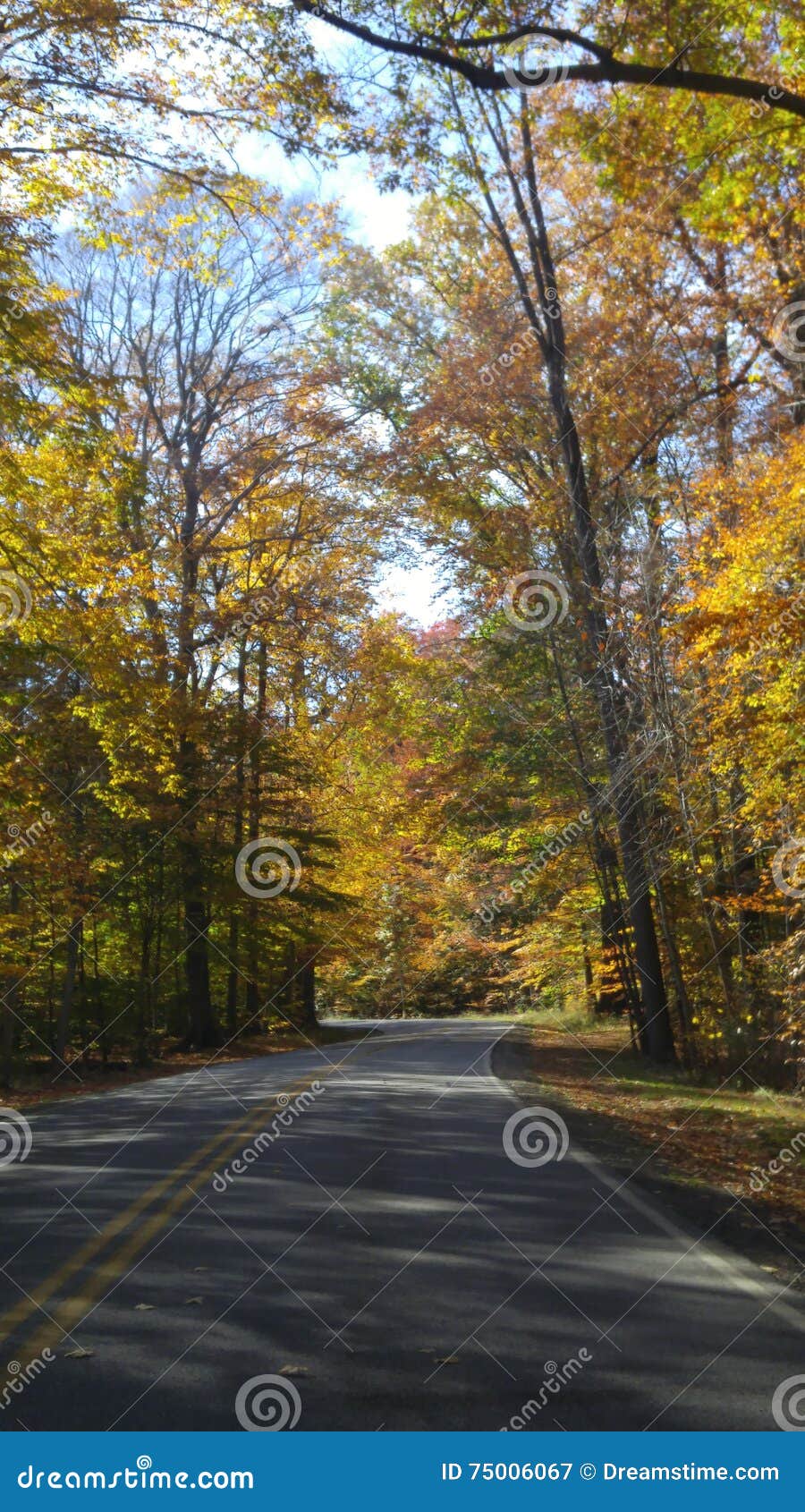 Fall drive stock image. Image of road, asphalt, spring - 75006067