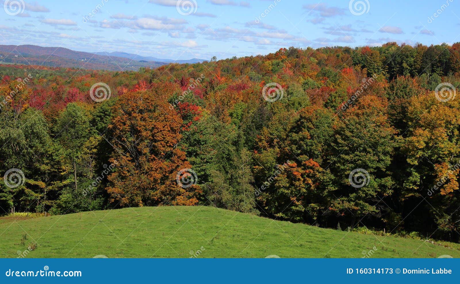 Fall in the Eastern Townships, Qc Stock Image - Image of season, tree ...