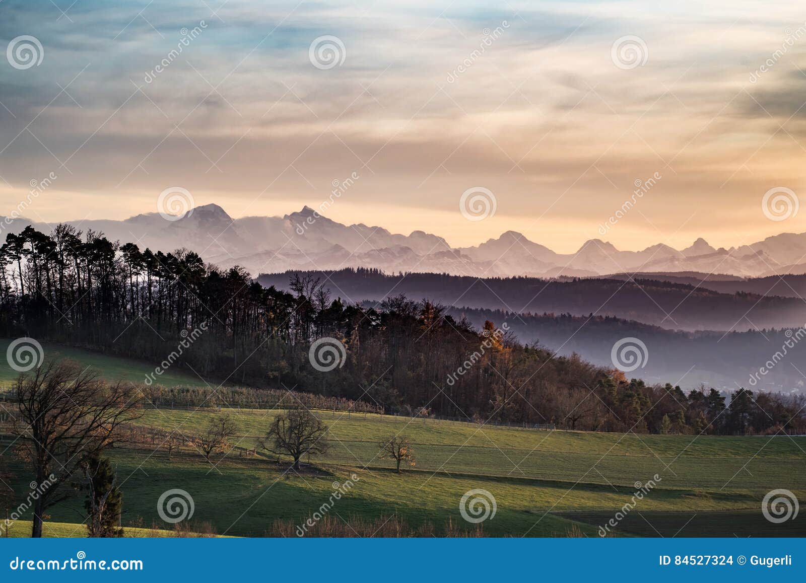Fall Evening Landscape stock photo. Image of sunset, fruittrees - 84527324