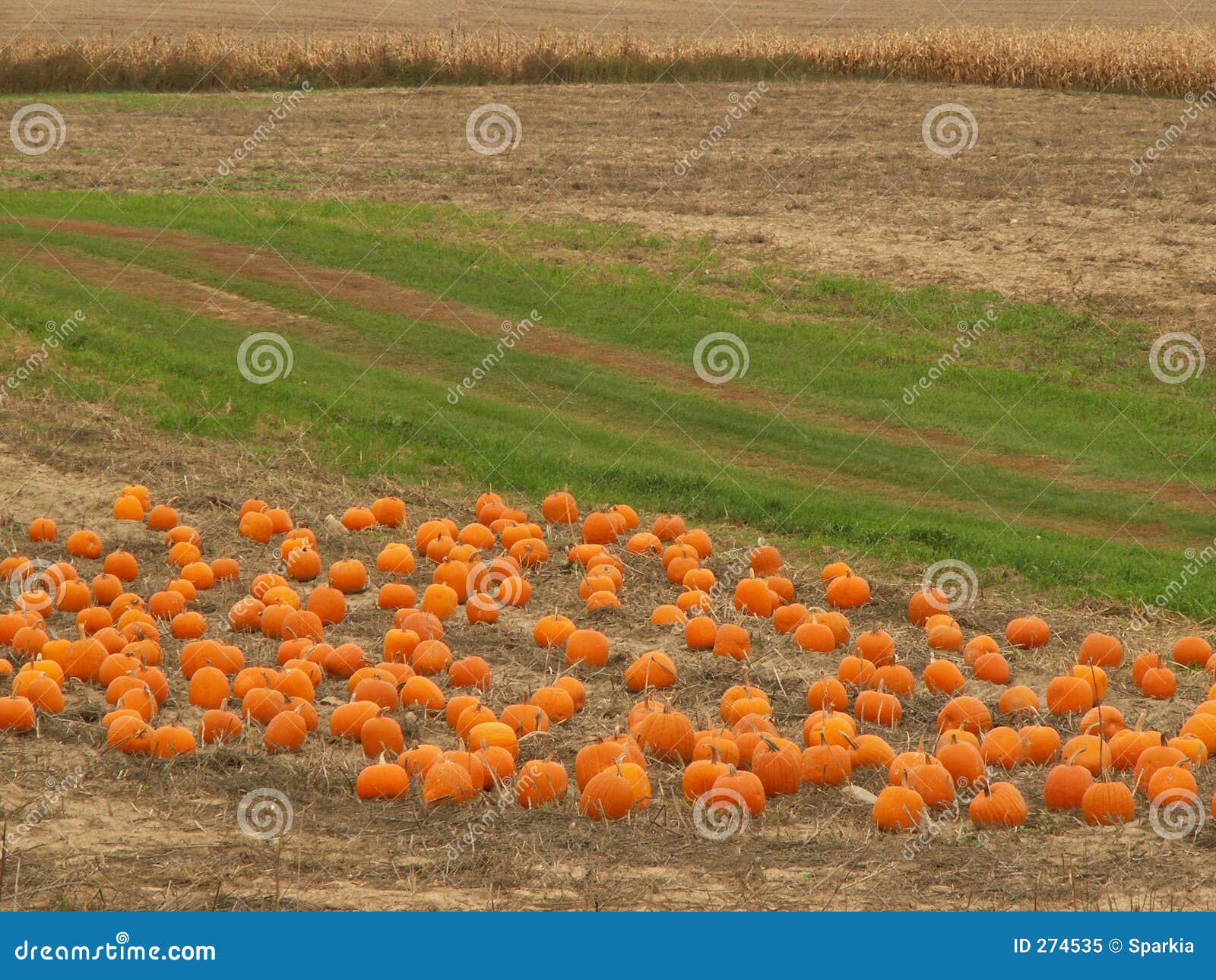 Fall farm stock image. Image of crops, plow, family, acreage - 274535