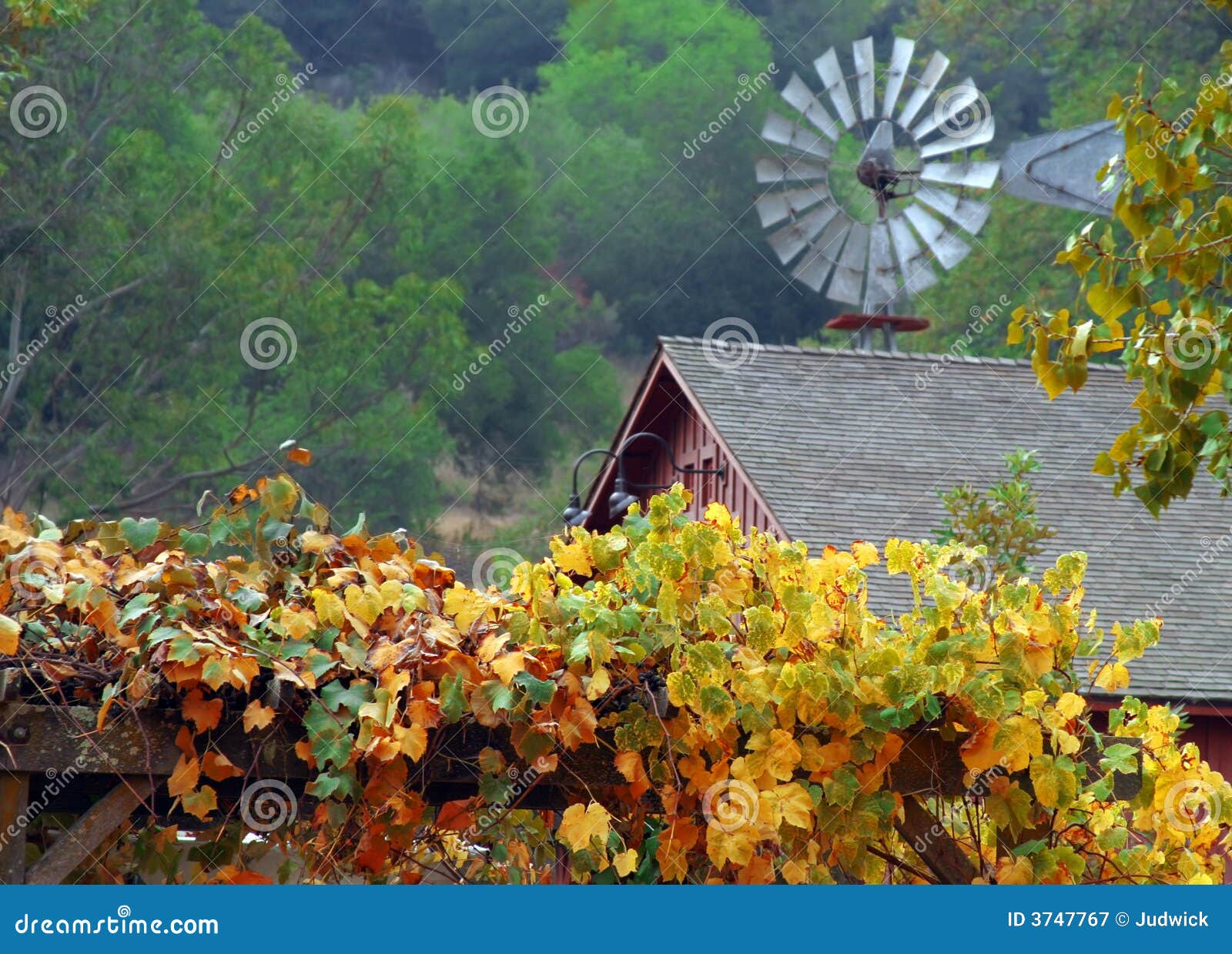 Fall at the Farm stock image. Image of vines, agriculture - 3747767