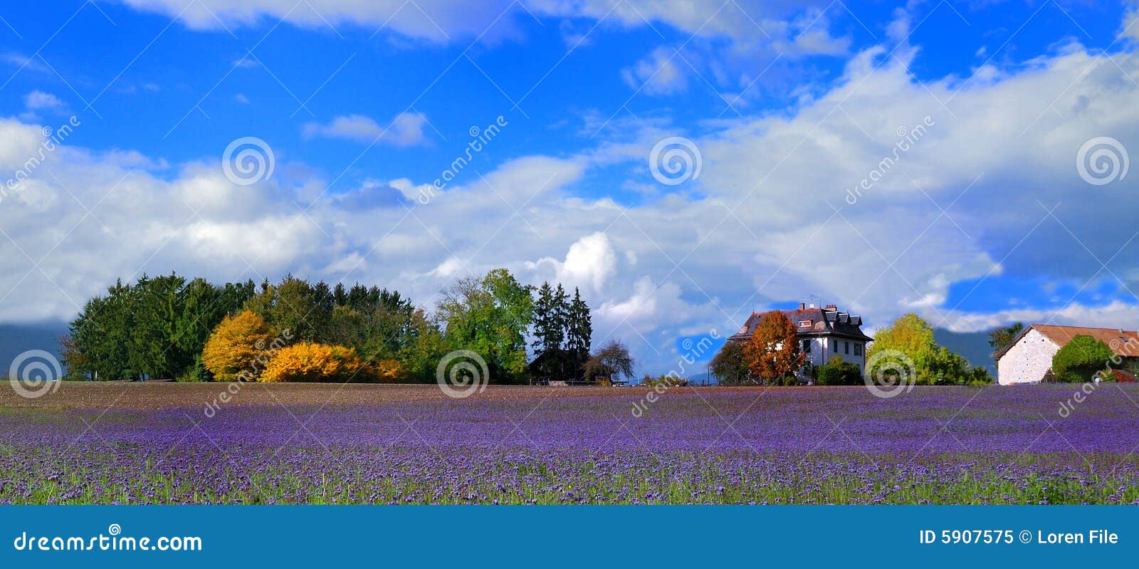 Fall Farm stock image. Image of autumn, french, orange - 5907575