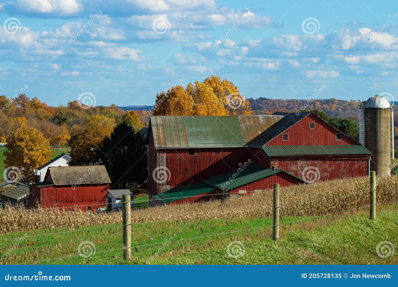 Fall farm. stock image. Image of white, horses, colorful - 205728135