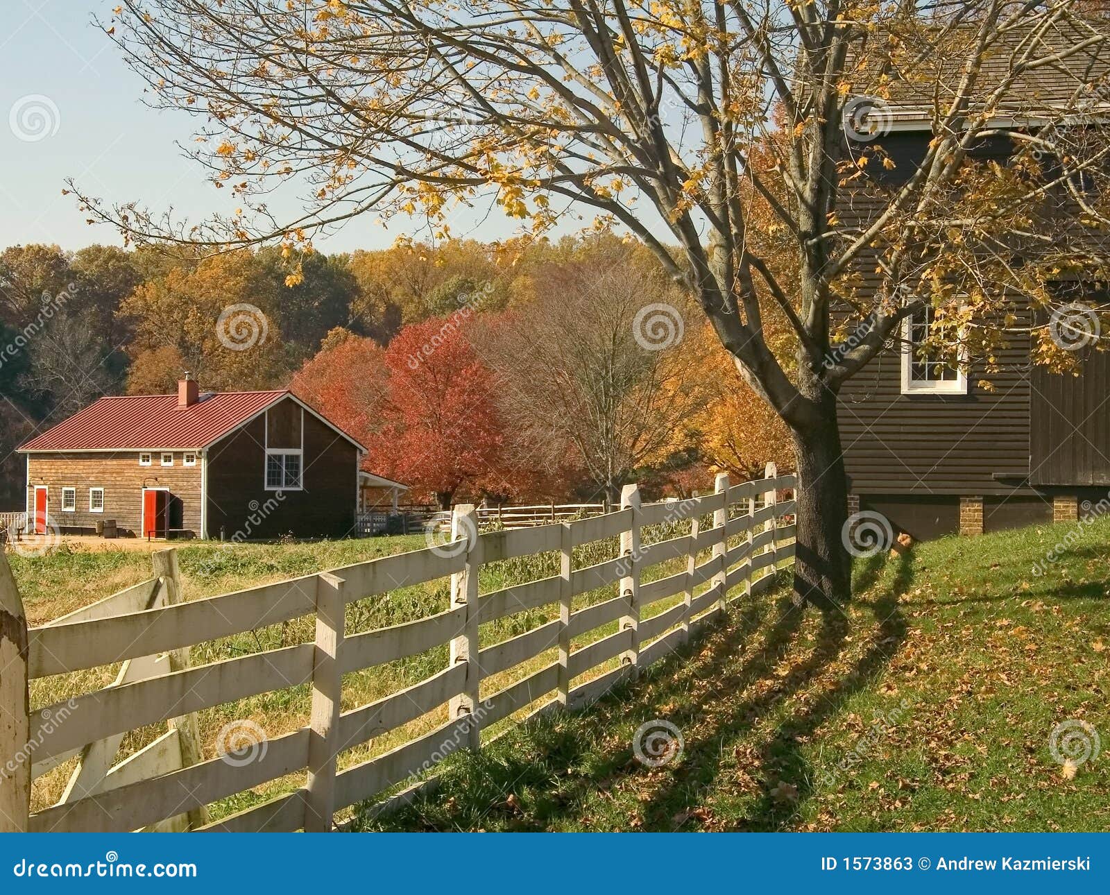 Fall Farm Fence stock image. Image of colors, fence, park - 1573863