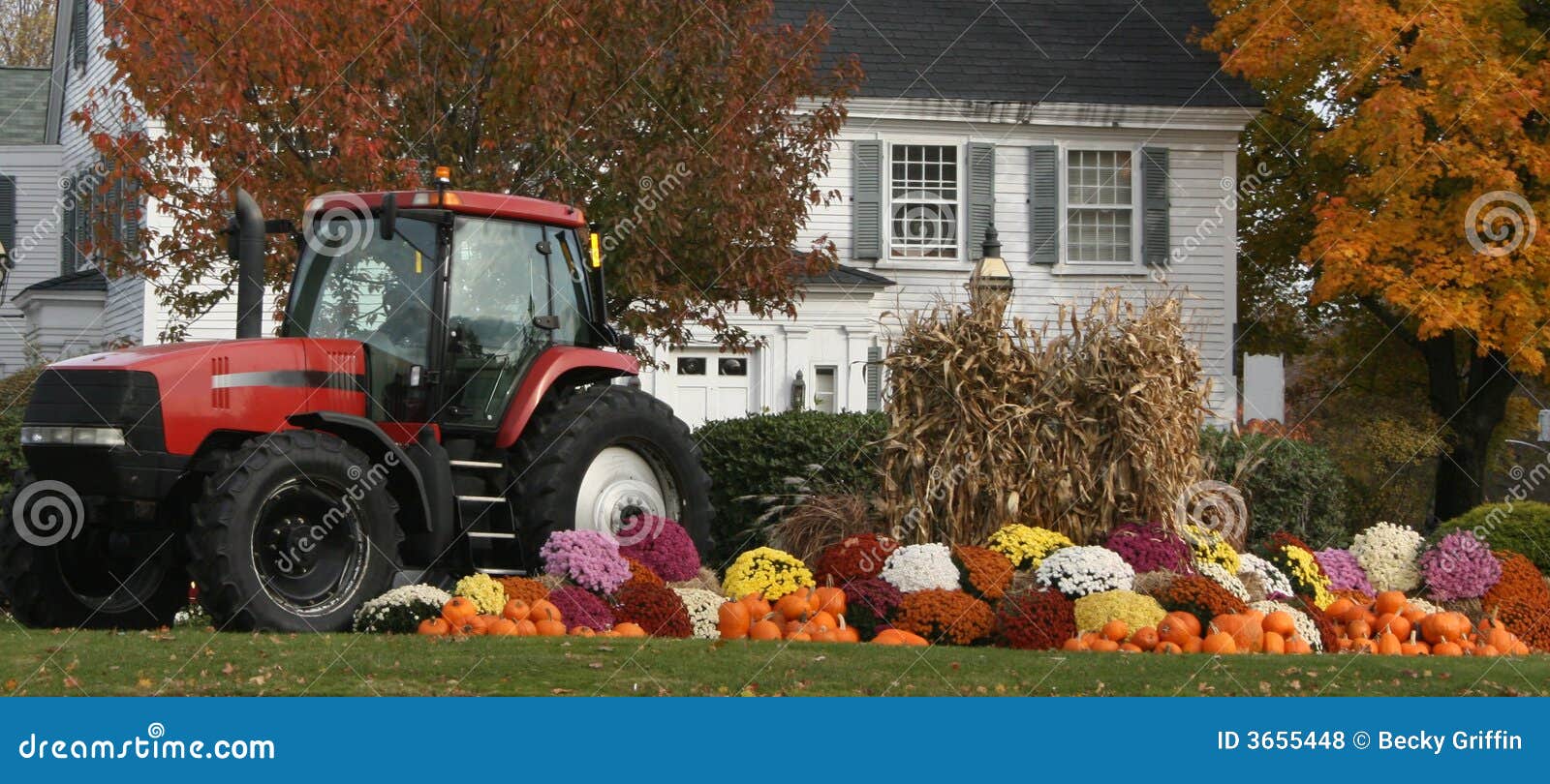 Fall Farmhouse stock photo. Image of blask, green, farming - 3655448