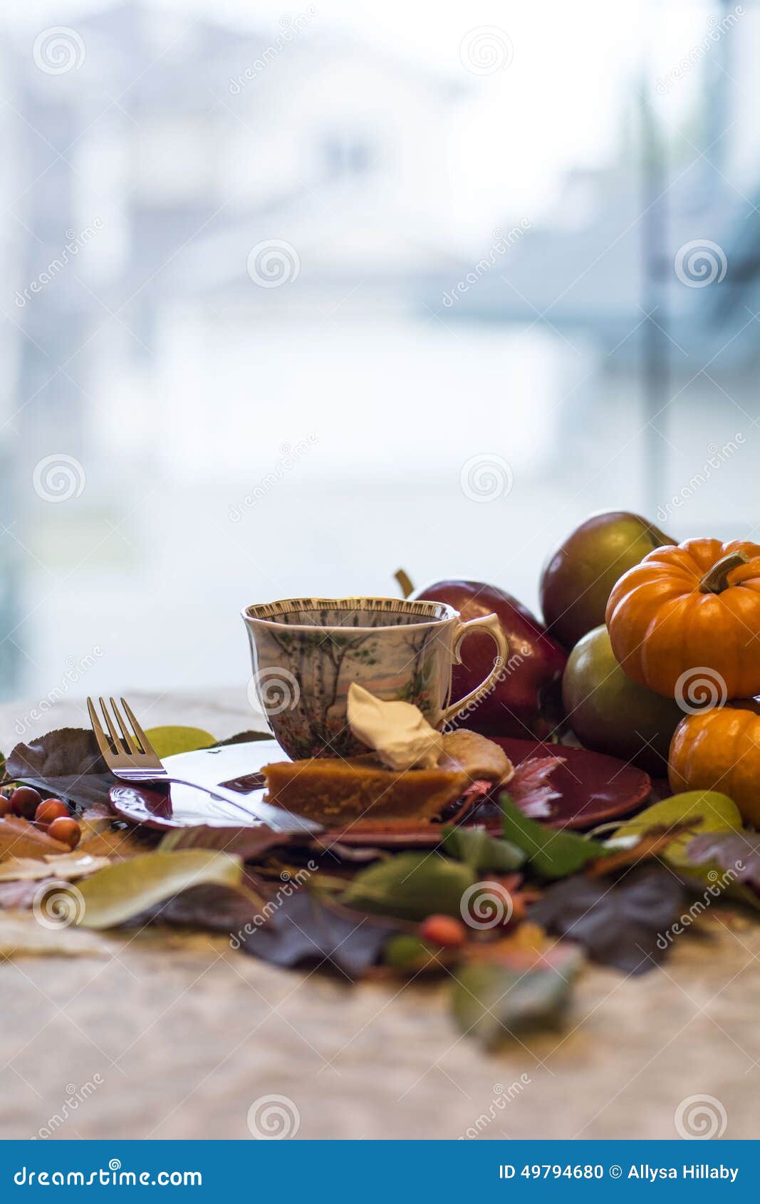 Fall feast stock photo. Image of food, pumkinpie, blue - 49794680