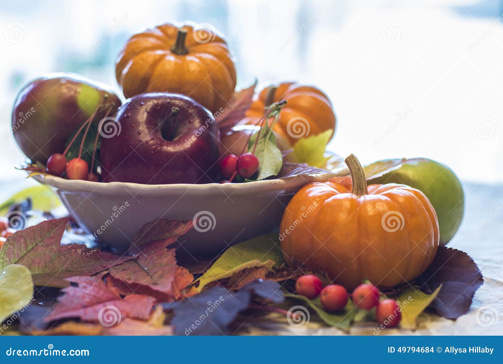 Fall feast stock photo. Image of orange, pumkinpie, drink - 49794684