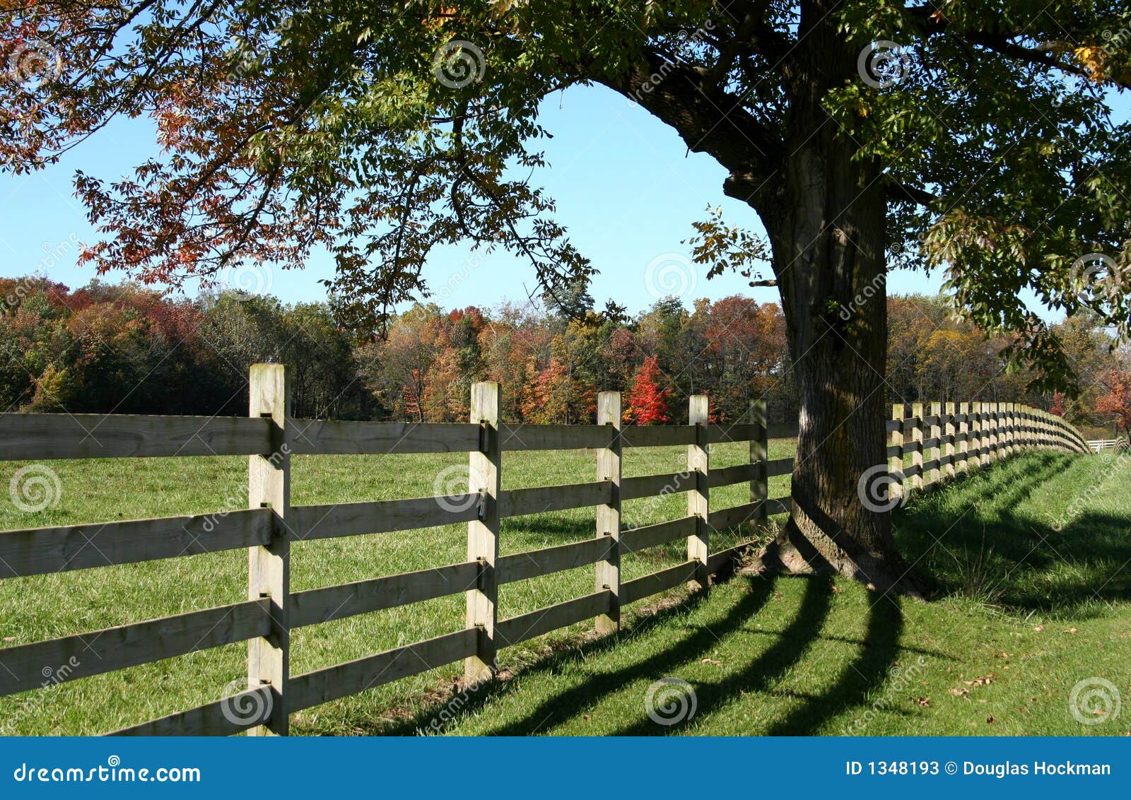 Fall Fence stock image. Image of tree, fence, trees, autumn - 1348193