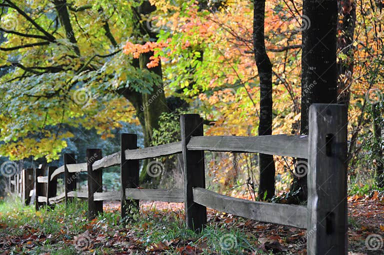 Fall fence stock image. Image of autumn, fence, nature - 6818825