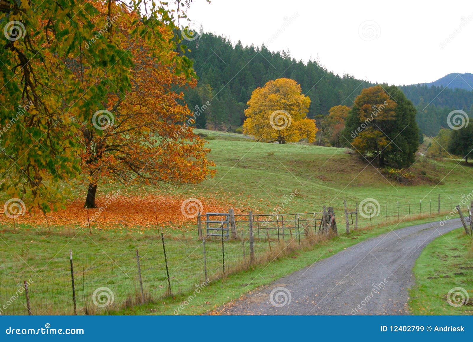 Fall in the Field stock image. Image of curved, slope - 12402799