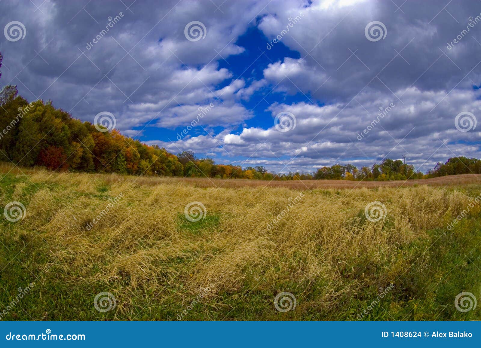 Fall field stock photo. Image of nature, wooden, earth - 1408624
