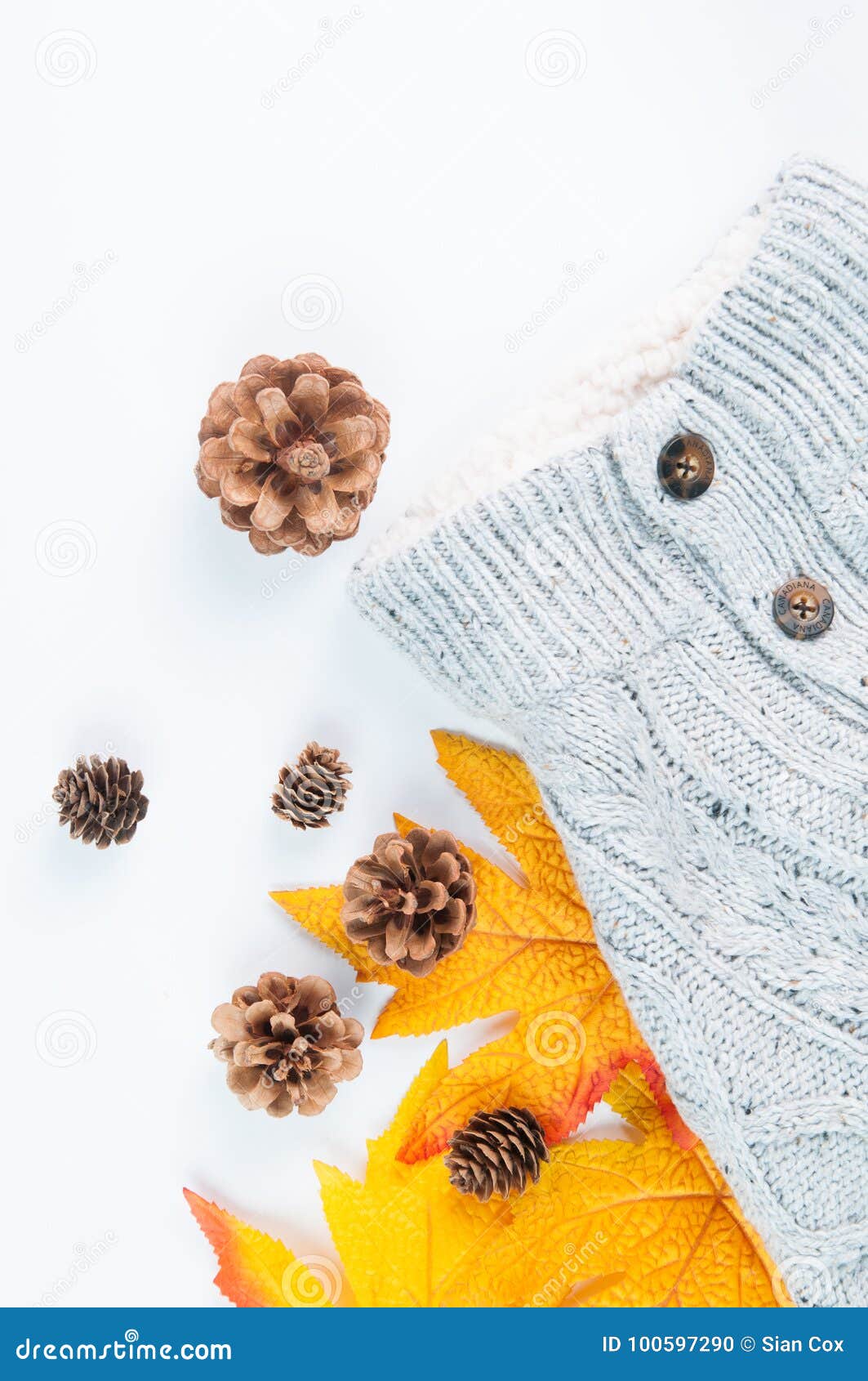 Fall flat lay stock photo. Image of simple, items, white - 100597290