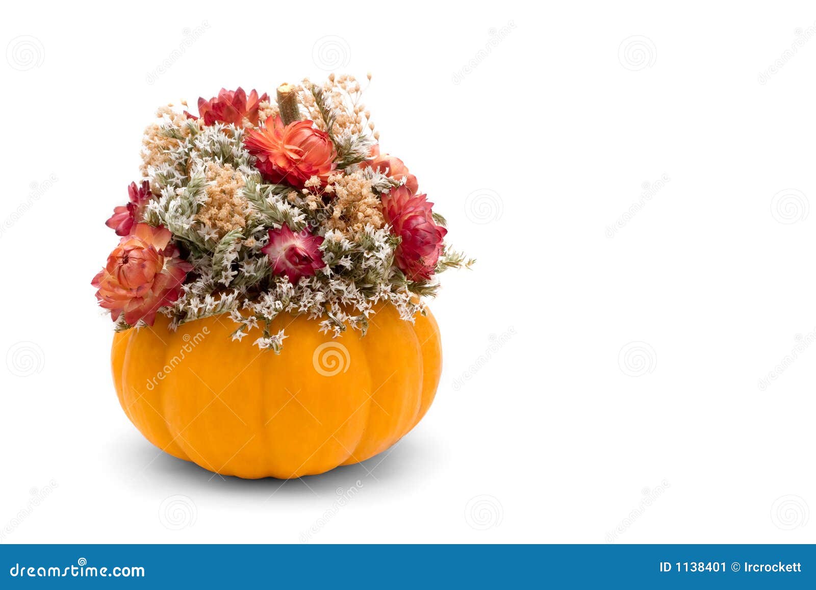 Fall Floral stock image. Image of halloween, ornamentation - 1138401