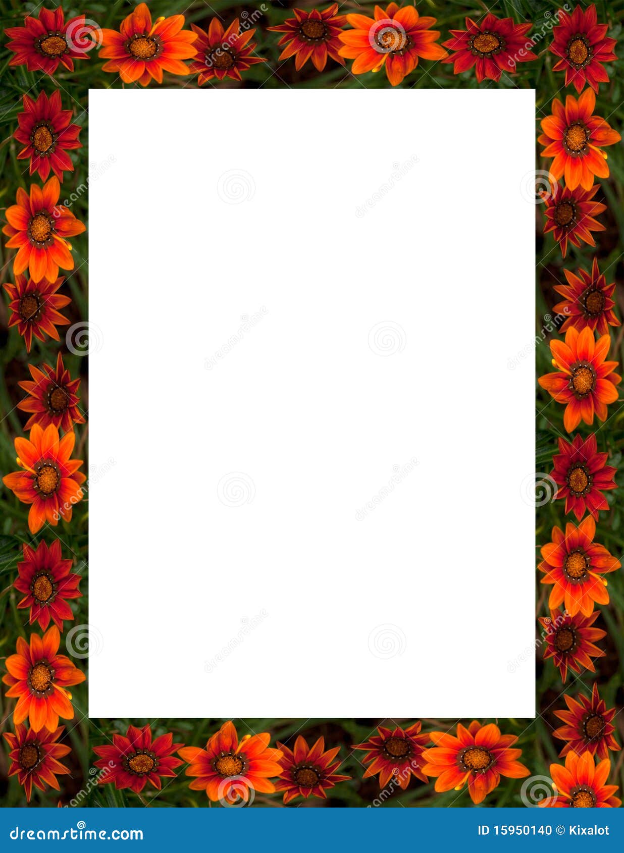 Fall Flowers Frame or Border Stock Illustration - Illustration of ...