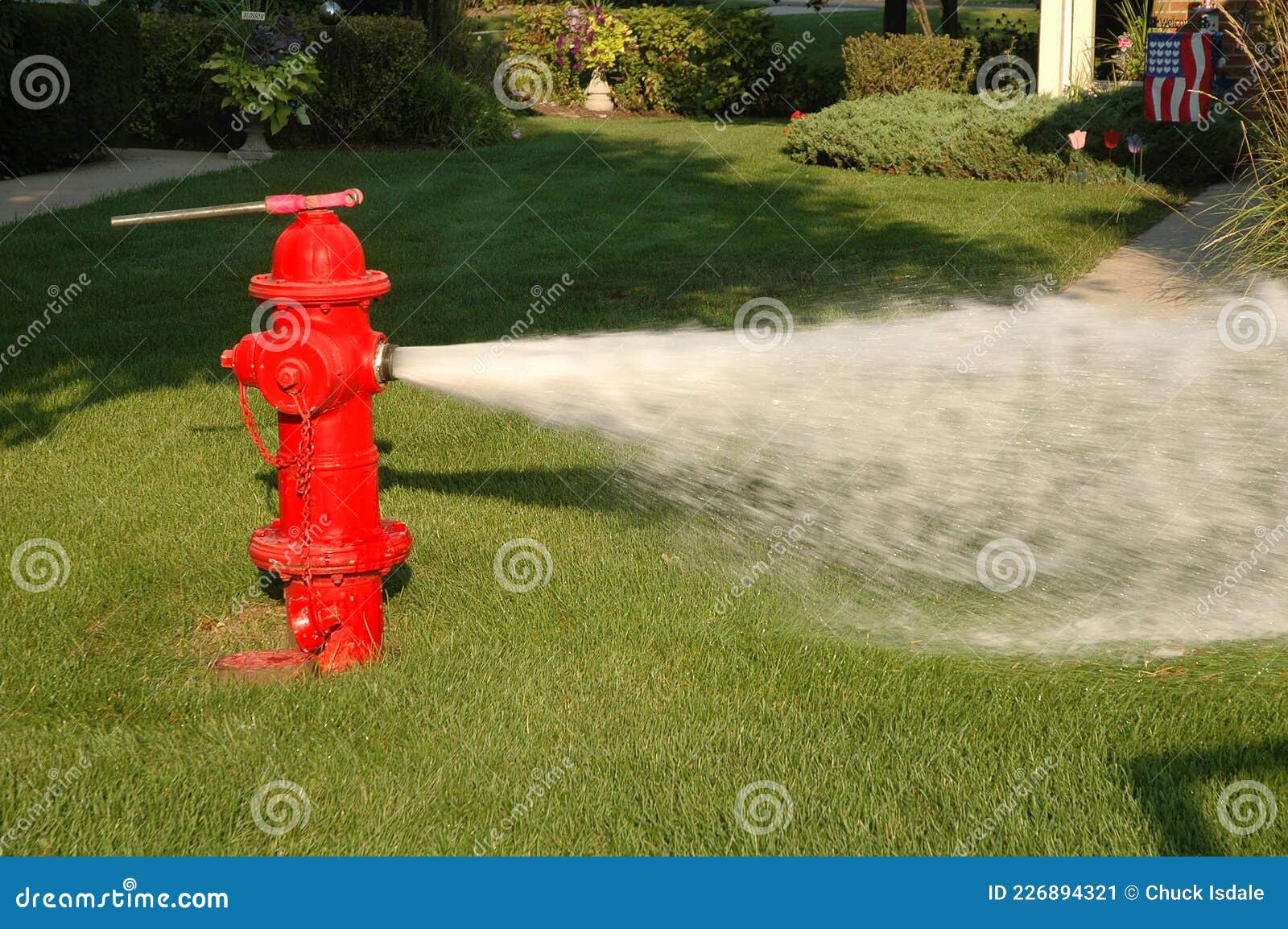 Fall Flushing of Fire Hydrant Stock Image - Image of water, fall: 226894321