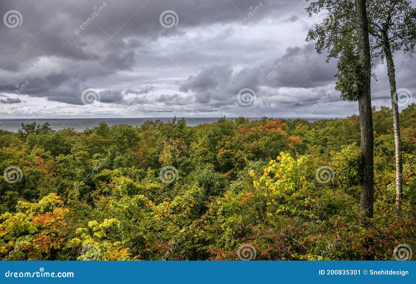 Fall Foliage Along Lake Michigan with Overcast Sky Stock Image - Image ...