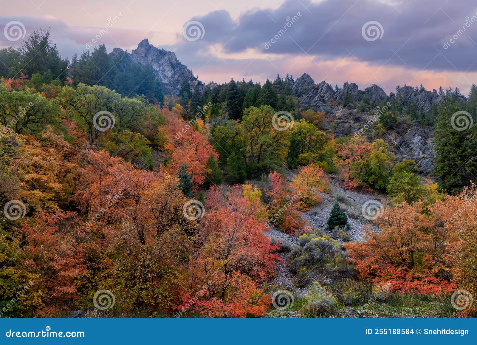 Fall Foliage Along Mt Nebo Loop in Utah Stock Photo - Image of ...